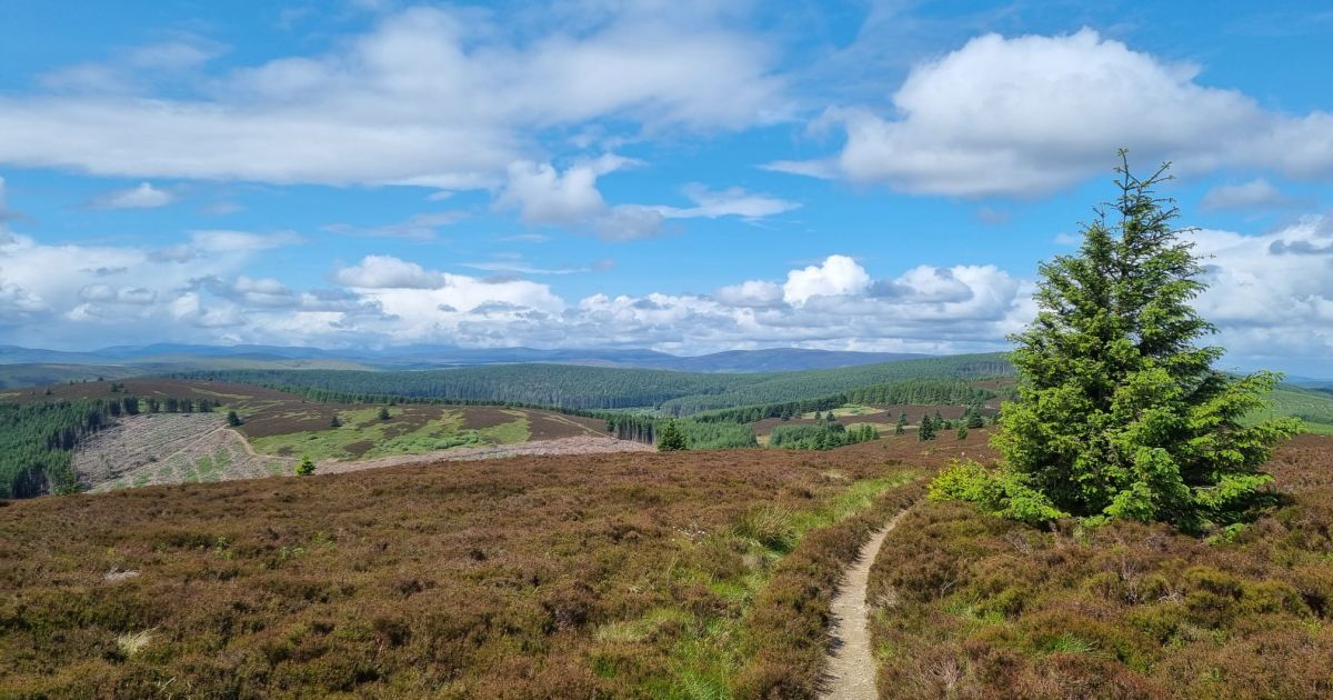 Yarrowford Circular - Ramblers